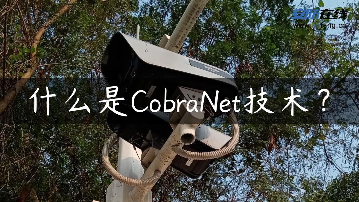 什么是CobraNet技术？ - 安防在线